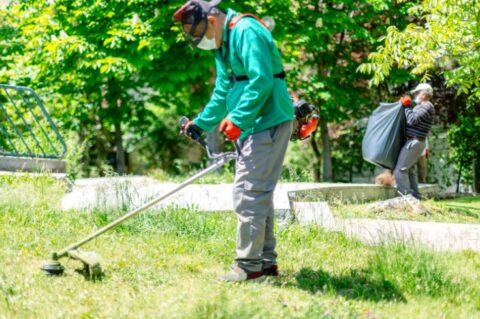 How To Kill Grass Permanently? - Step By Step Guide