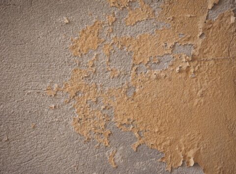 How to Treat Damp Walls Before Painting? - A Complete Guide