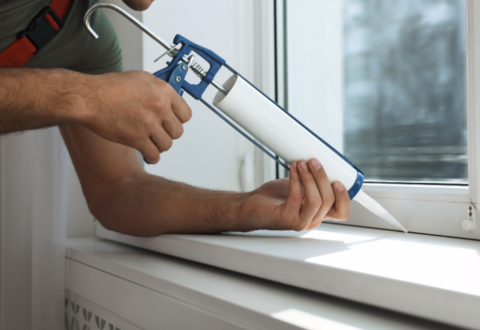 Why Are Slugs Coming in My House at Night? - Get Rid of Slugs