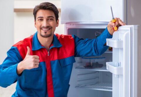 How to Reset Beko Fridge Freezer? Expert Guide to Fix Faults