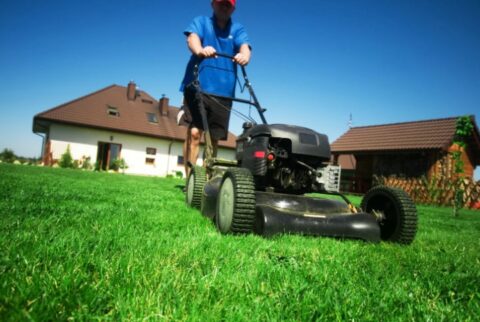 When Not To Cut Grass? – UK Time & Season To Stop Mowing