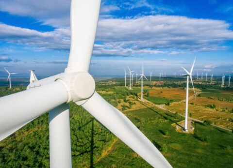 A Wind Turbine Transfers Energy From __________ Energy Store. What One ...